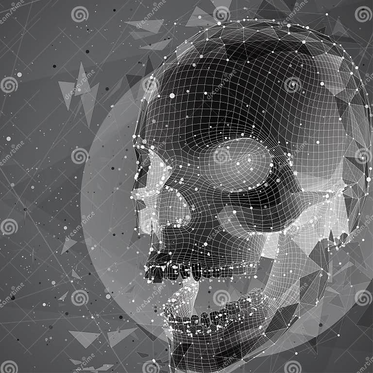 3d Vector Human Skull of All Segments Explodes Stock Vector ...