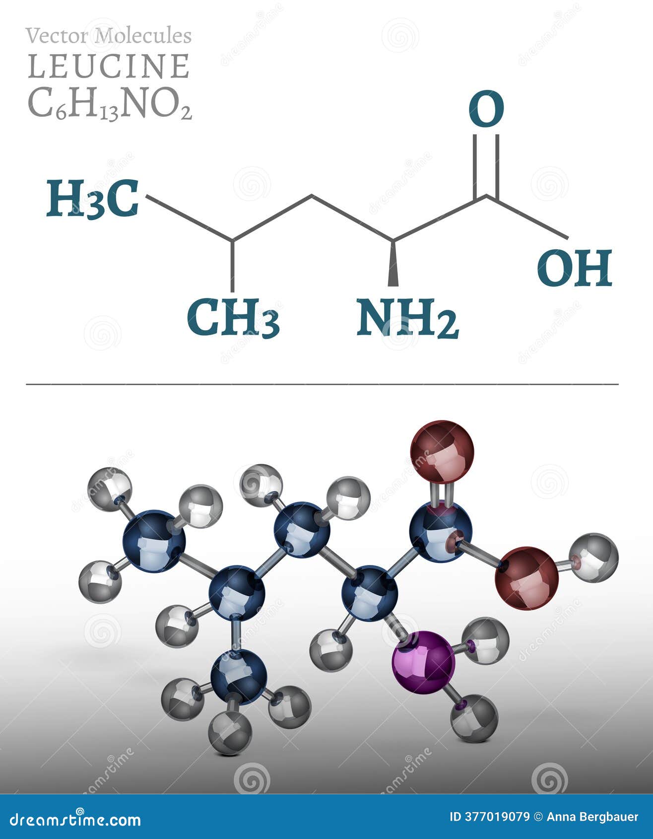 Leucine L- Leucine, Leu, L Molecule. It Is Essential Amino Acid ...