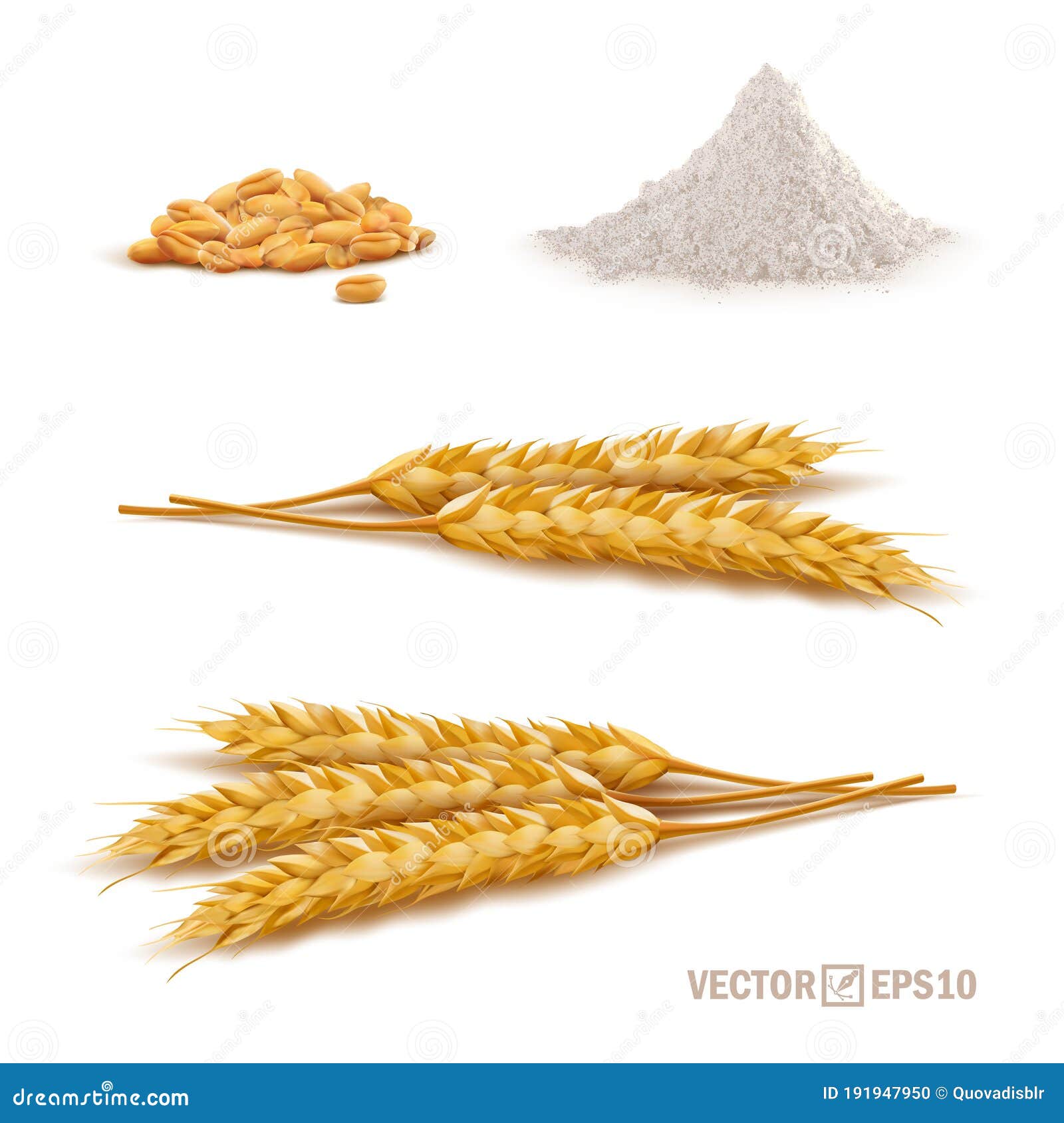 3d Vector Realistic Wheat Set, a Bunch of Ears, Falling Grains, a Slide ...