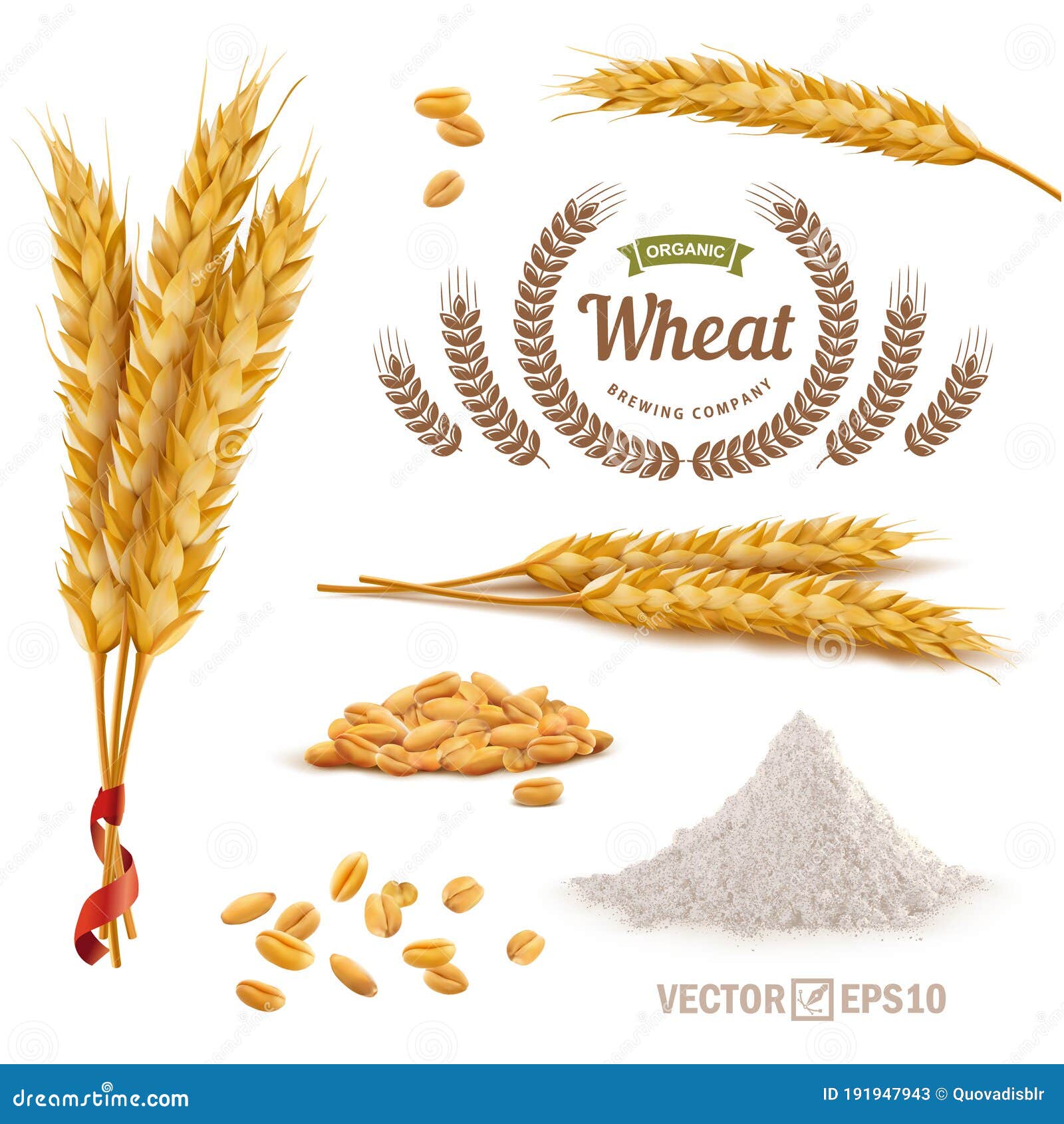 Realistic Ear Of Wheat On White Background. Vector Set. | CartoonDealer ...