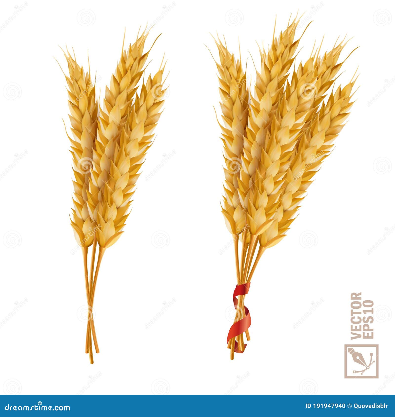 Realistic Wheat Background. Agricultural Harvest Ears And Grains ...