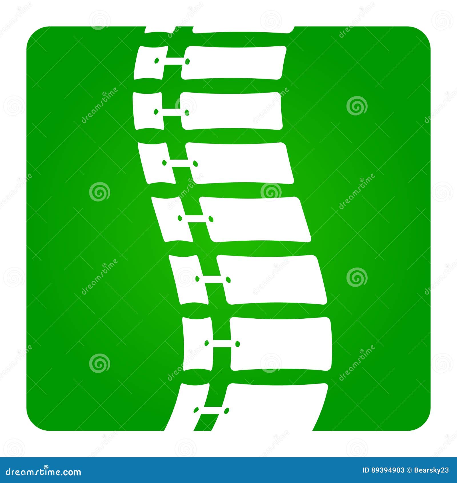 2D Vector Spinal Column Musculoskeletal Image with Rounded Rectangle on ...