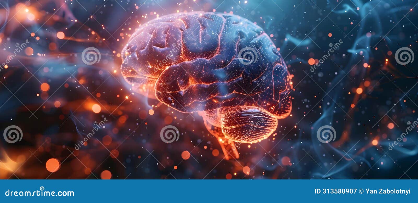 D Visualization Of Traumatic Brain Injury Terms Mapped Onto Human ...