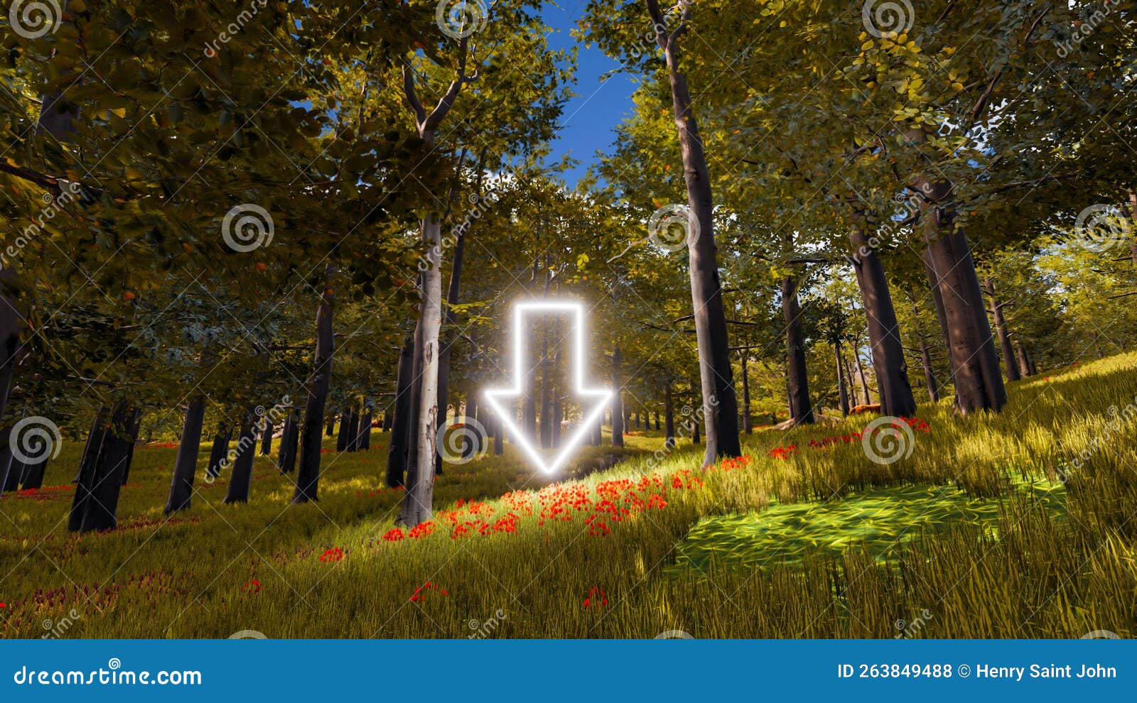 3D Wallpaper with Forest Environment with Down Arrow, Trees and ...