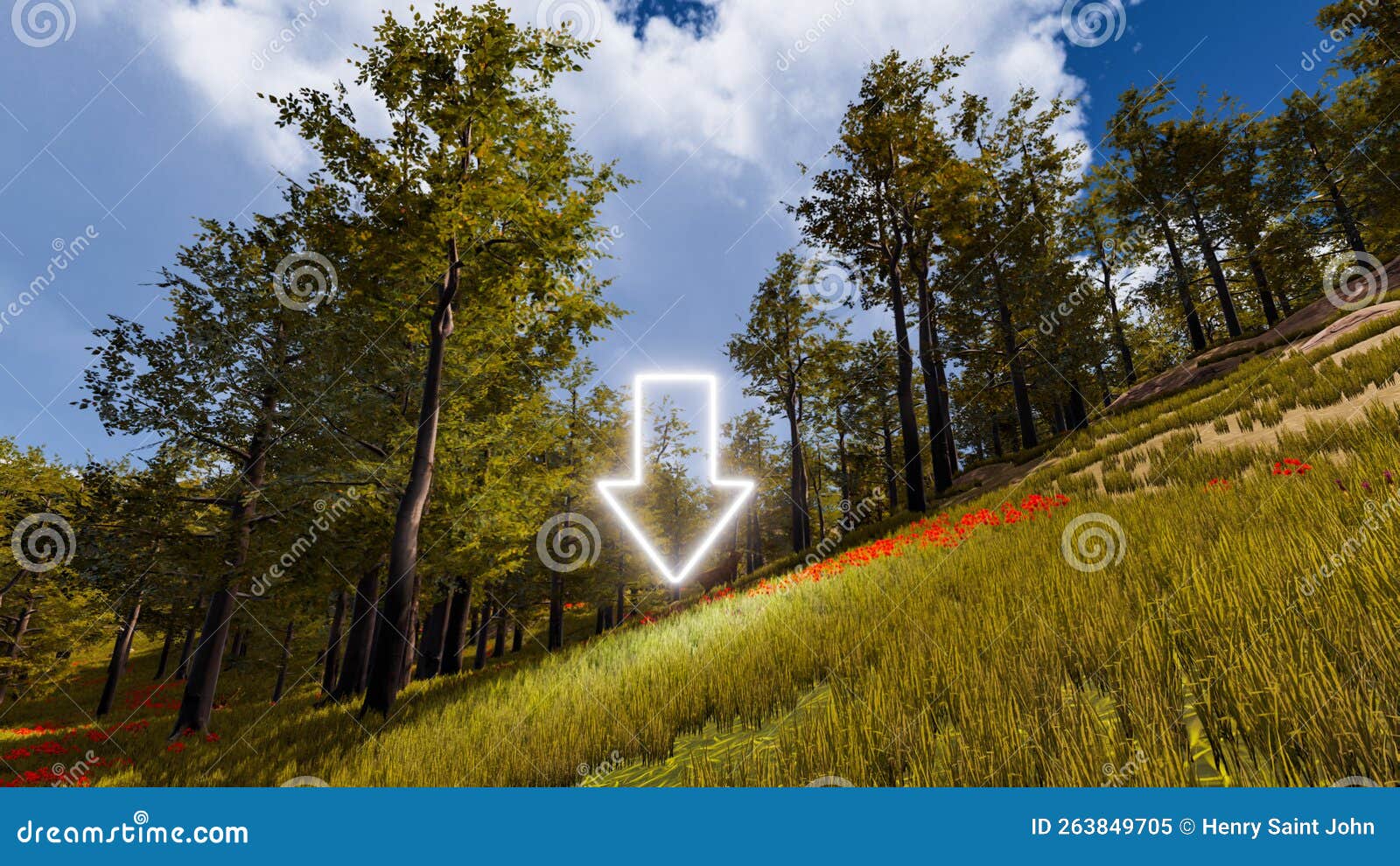 3D Wallpaper with Forest Environment with Down Arrow, Trees and ...