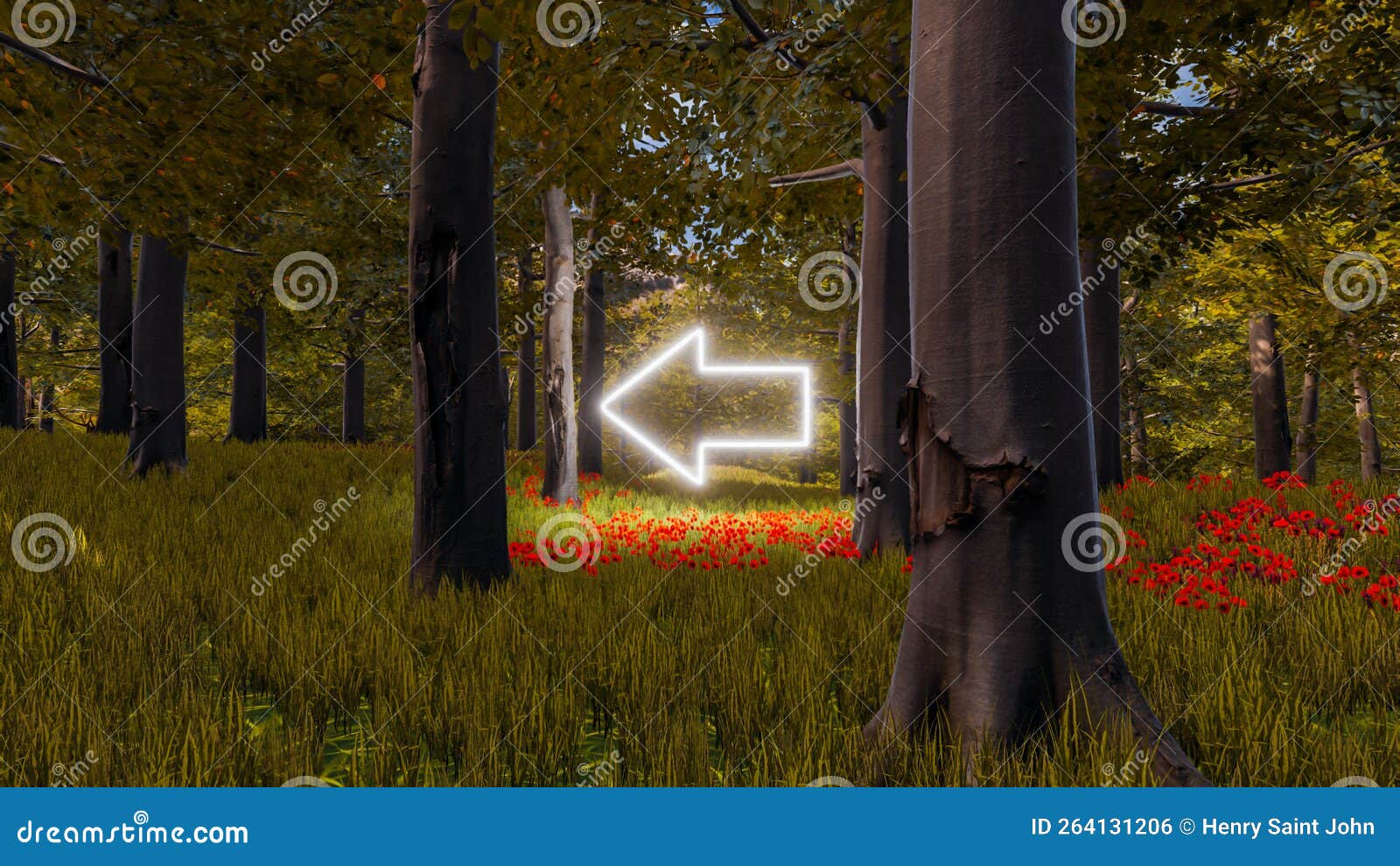 3D Wallpaper with Forest Environment with Left Arrow, Trees and ...