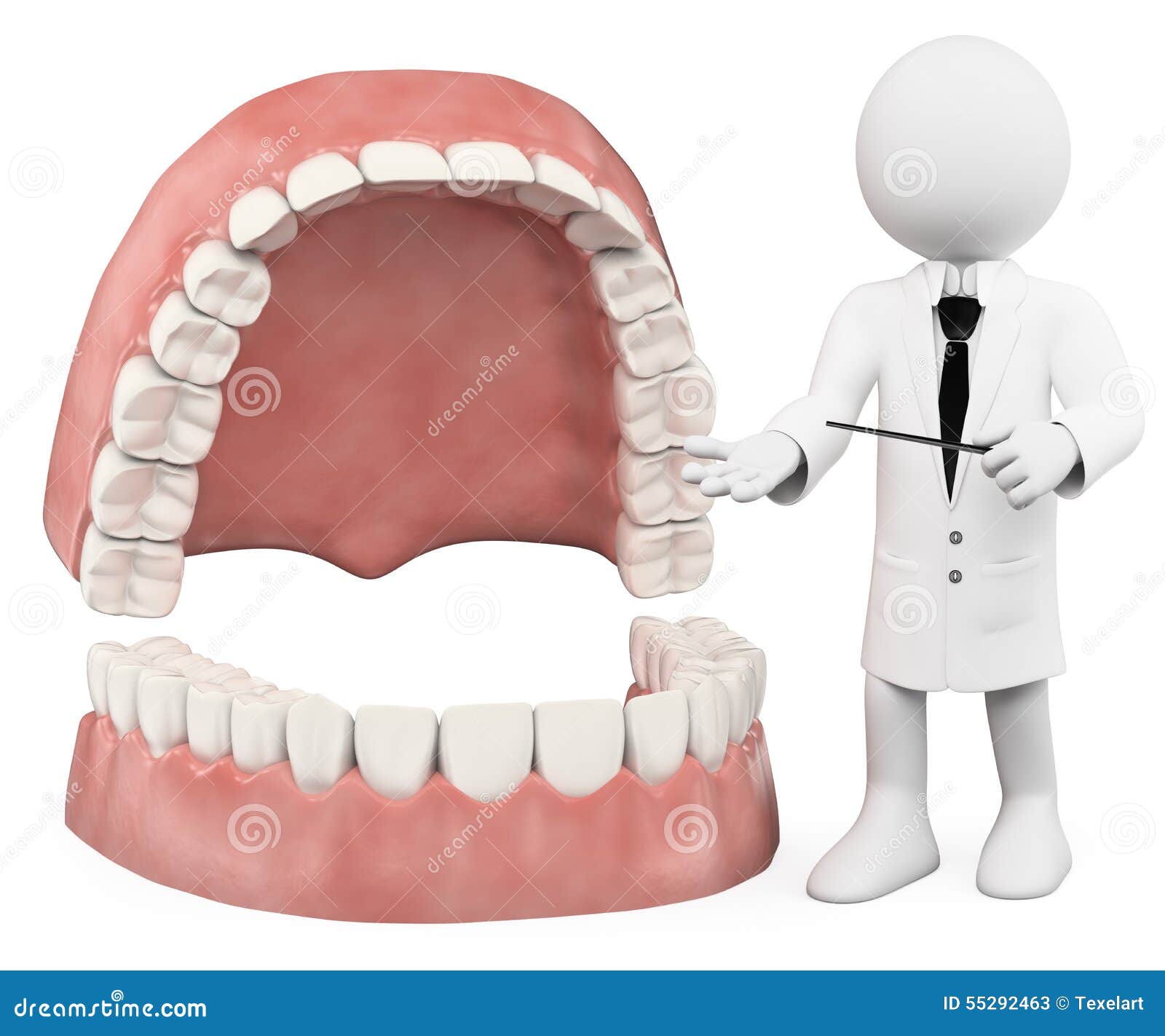 3D White People. Professor Showing a Denture Stock Illustration ...