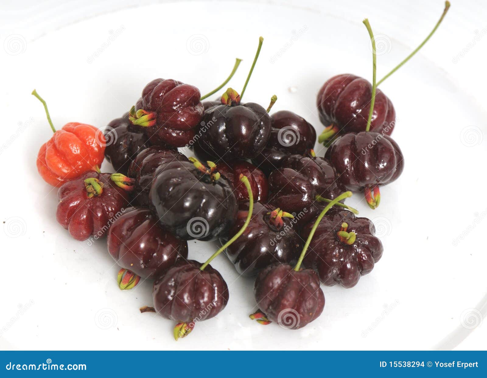 Da fruto el pitanga foto de archivo. Imagen de tropical - 15538294