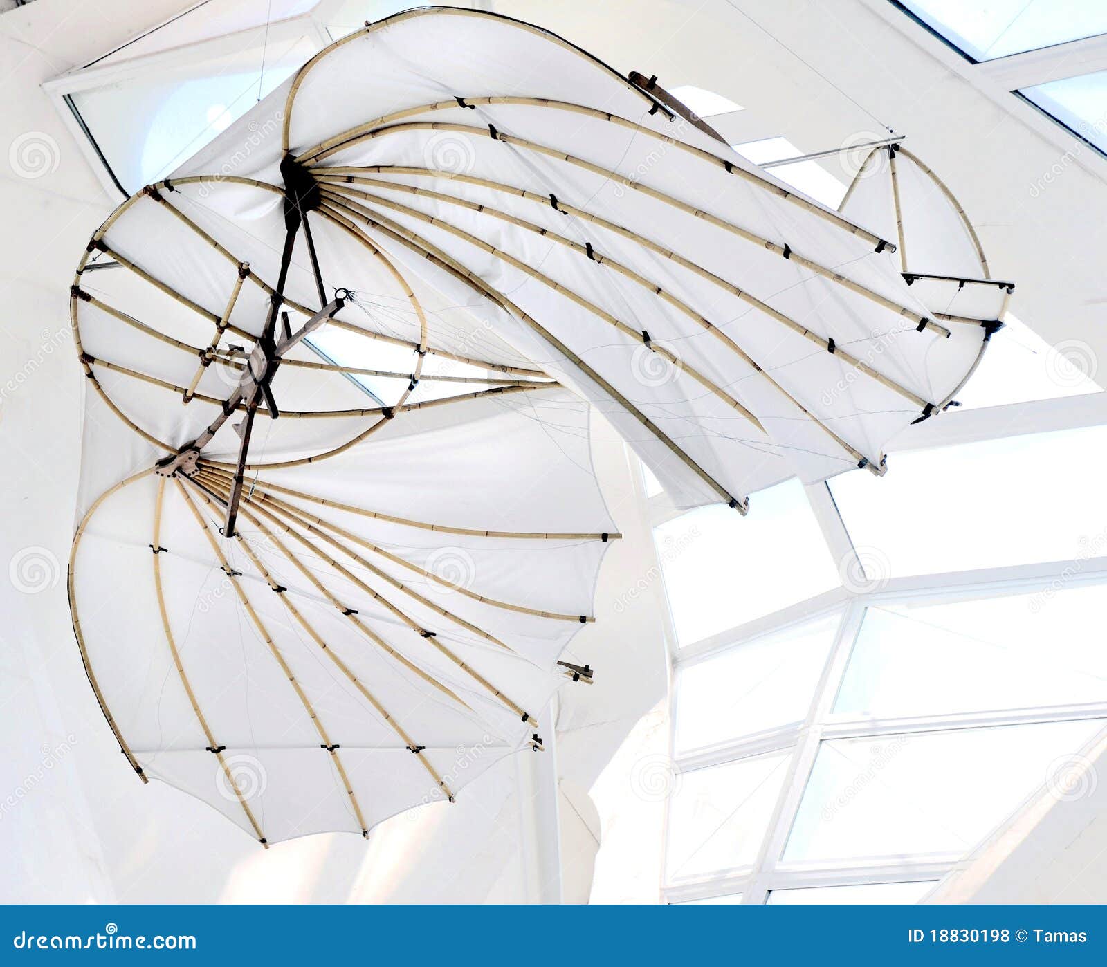 Da Vinci First Flying Machine Editorial Stock Photo - Image of machine ...