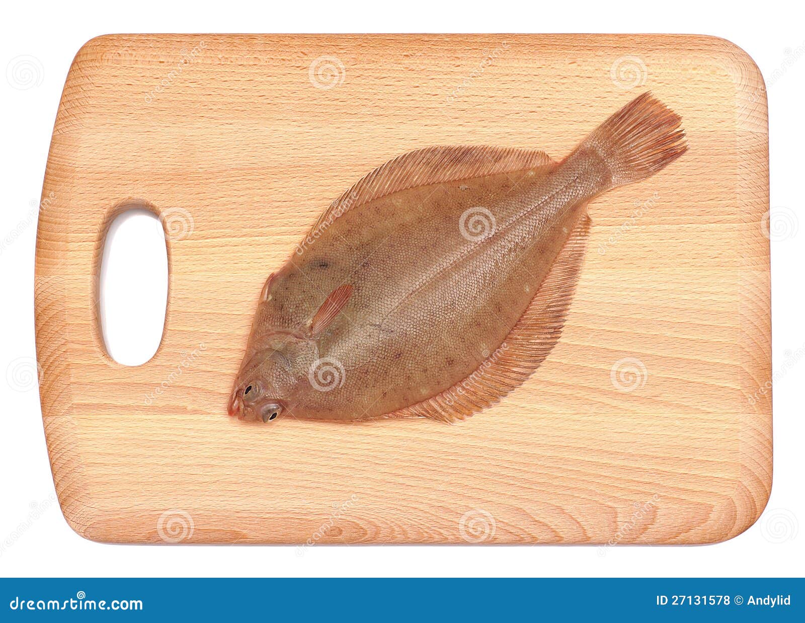 Dab Fish stock photo. Image of food, aquatic, ocean, fresh - 27131578
