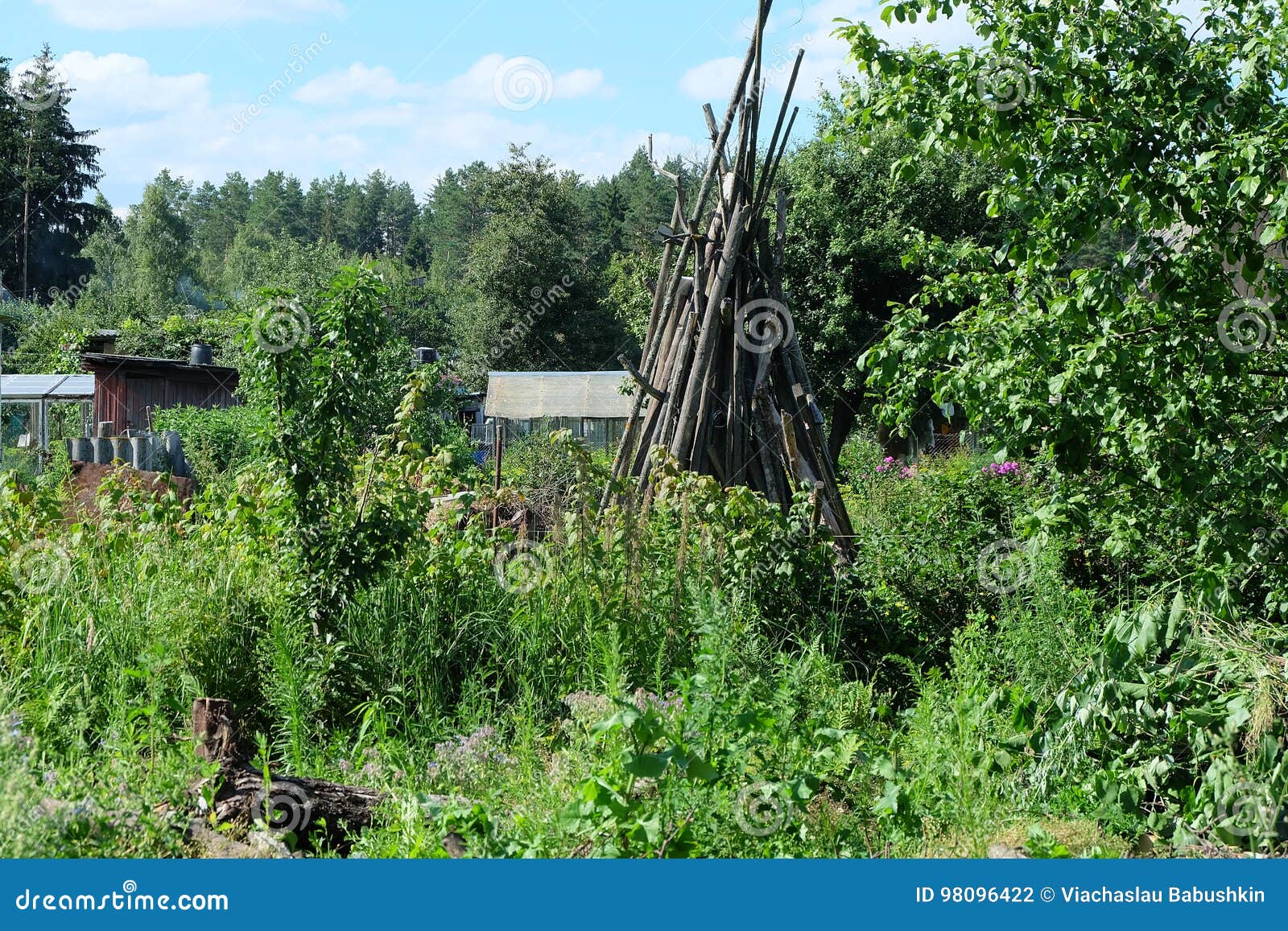 At the dacha stock photo. Image of dacha, summer, green - 98096422
