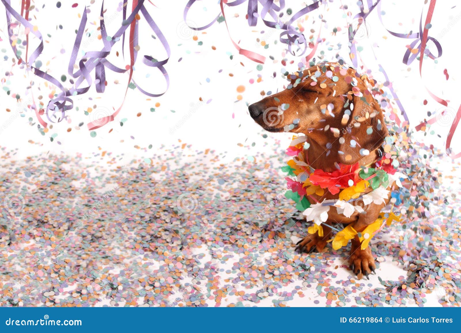 Ballroom Confetti Stock Photos - Free & Royalty-Free Stock Photos from ...