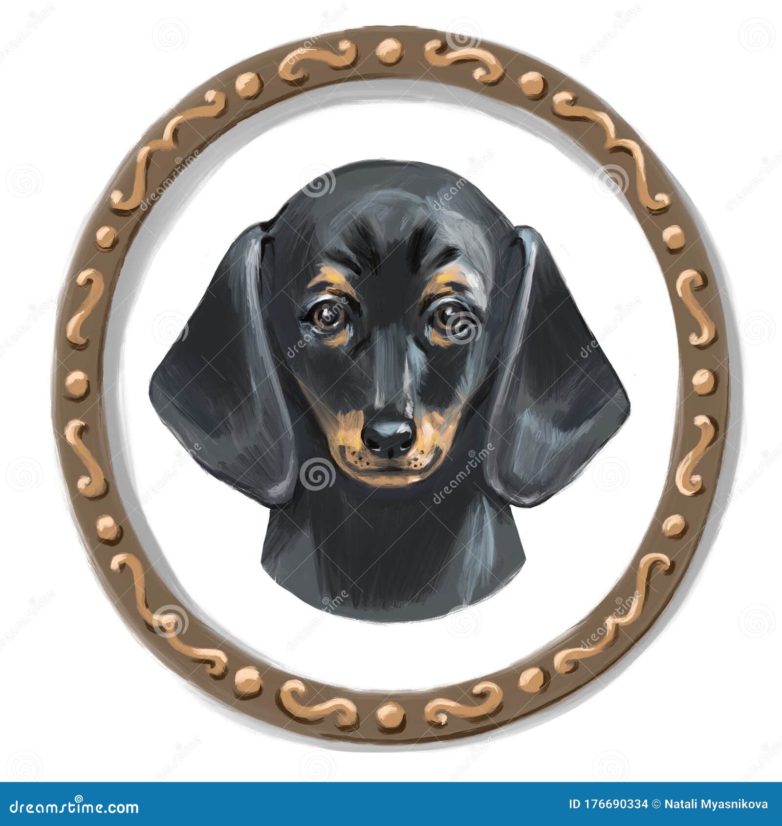 Dachshund Face. Dog Portrait Muzzle Head. Dog Breed Stock Photo - Image ...