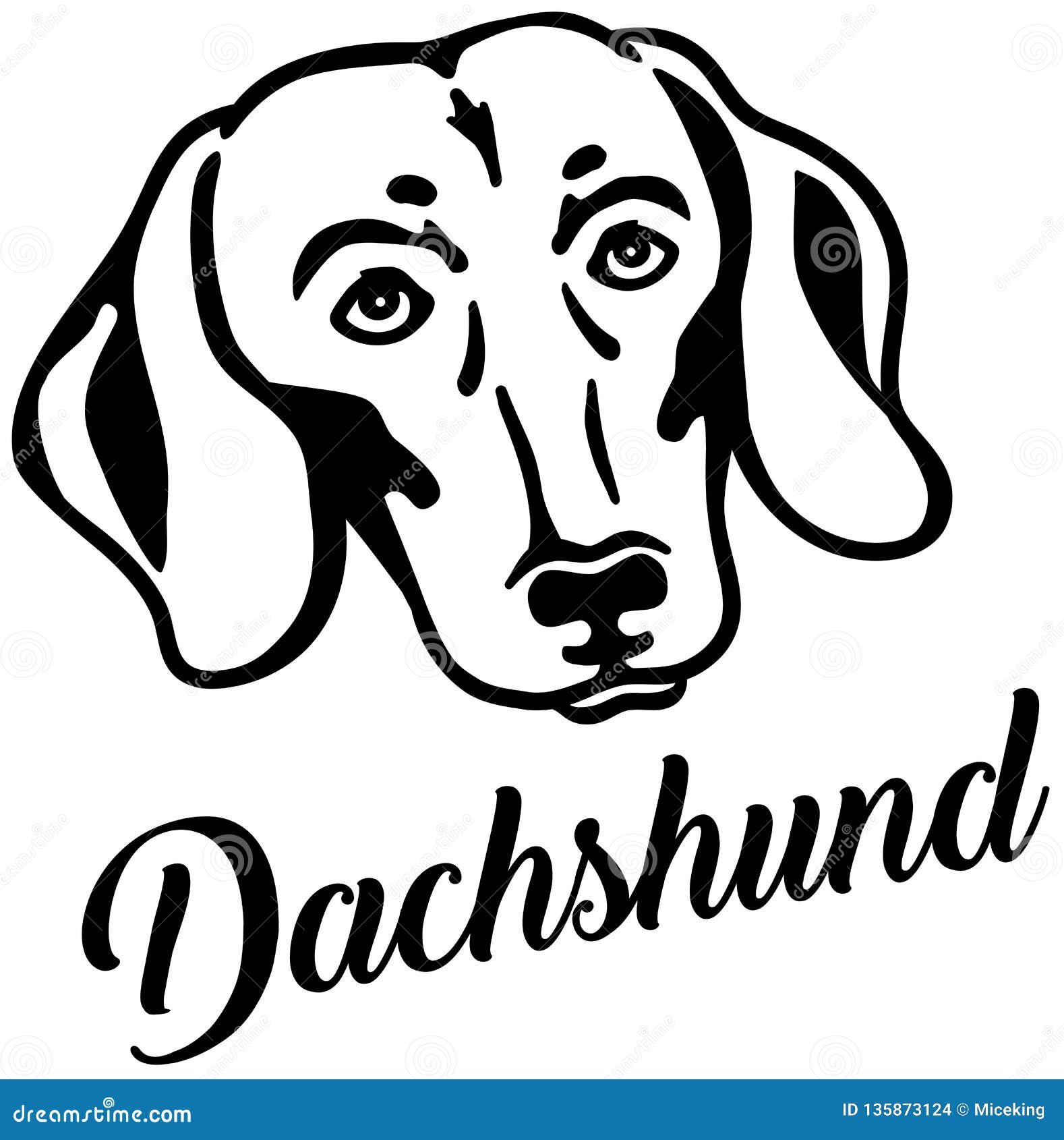 Dachshund head with name stock vector. Illustration of logo - 135873124