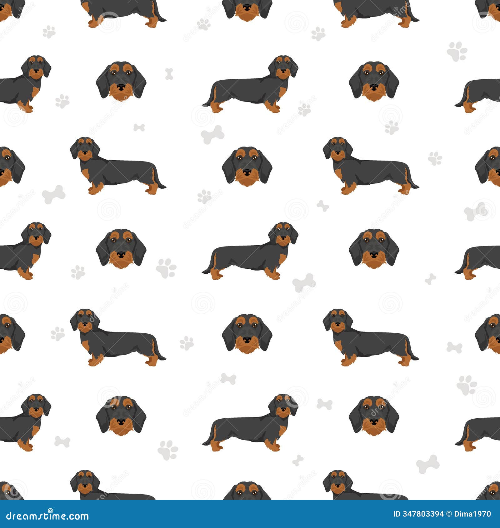 Dachshund Wire Haired Dog Seamless Pattern. Different Coat Colors Set ...