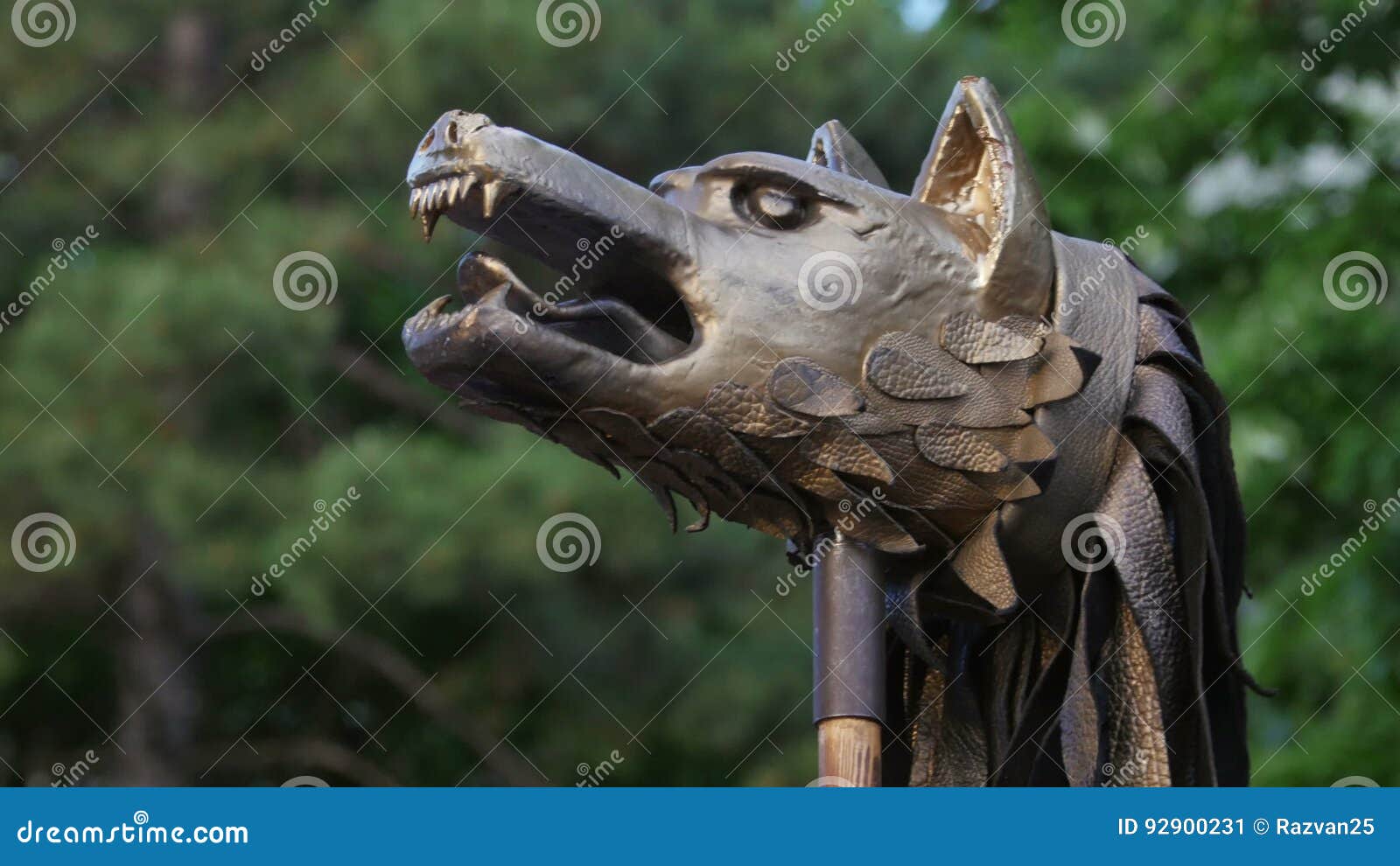 Dacians Draco or Dacians War Flag As it Looked 2000 Years Ago Stock ...