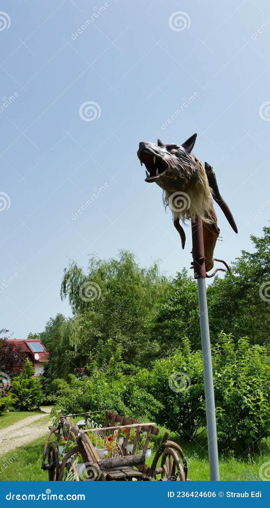 Dacic Draco Stock Photos - Free & Royalty-Free Stock Photos from Dreamstime