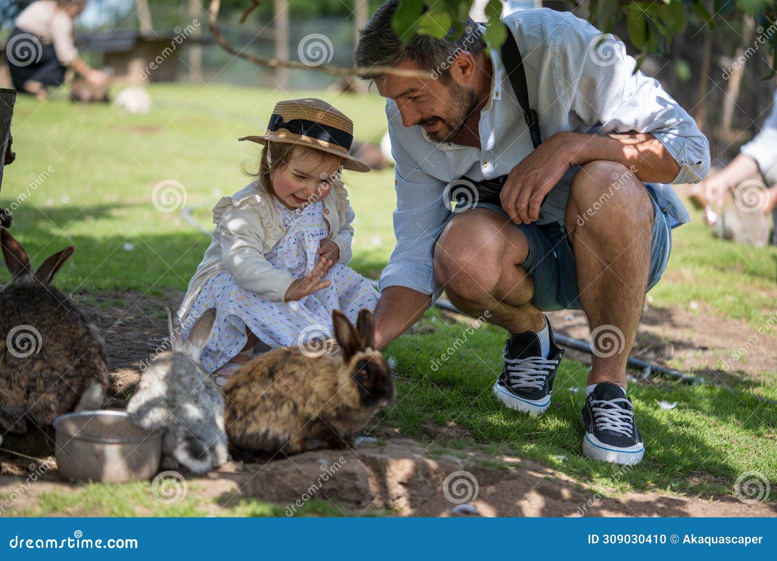 Dad and Small Daughter Feeding Animals on Farm Stock Photo - Image of ...