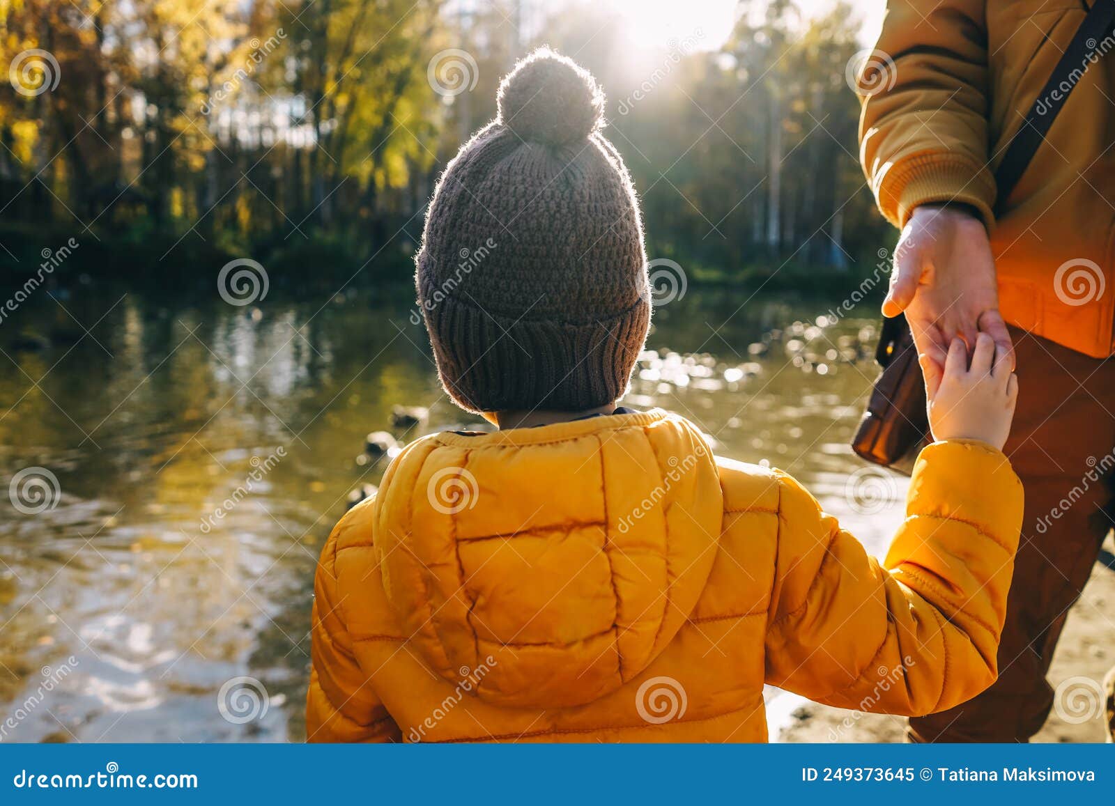 Dad and Son Feed Ducks on the Lake Stock Image - Image of feed ...