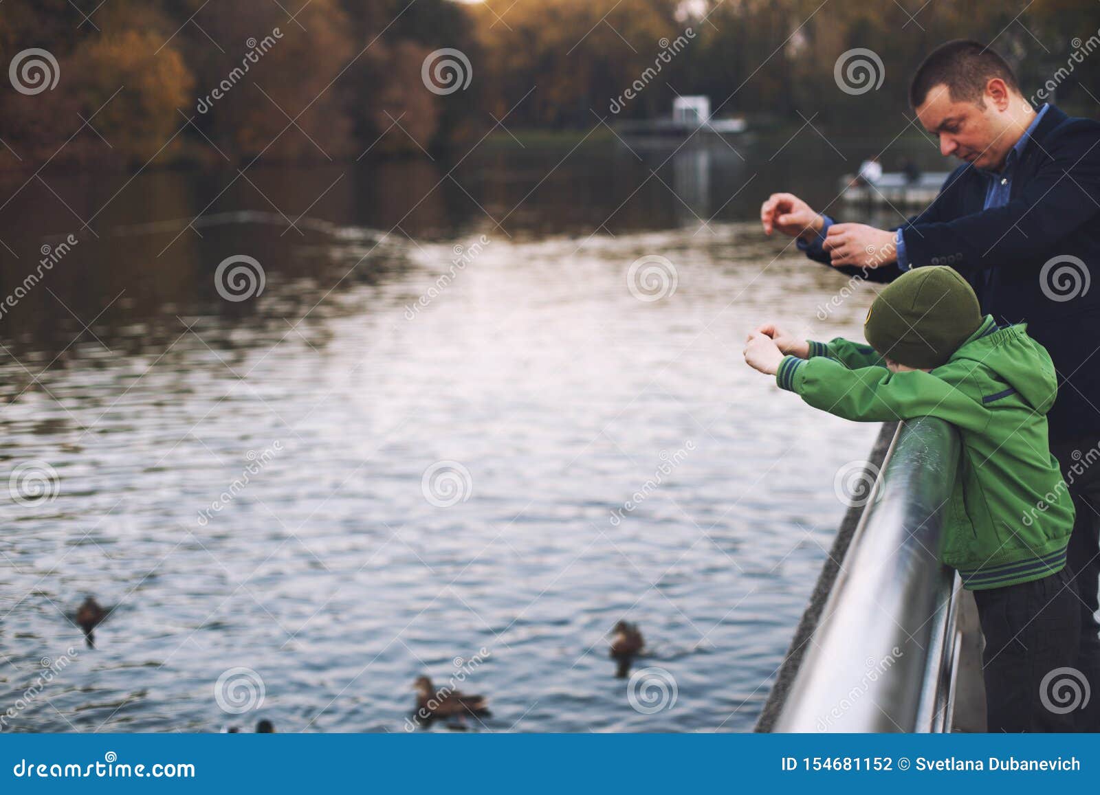 Dad and son feed ducks stock photo. Image of child, kind - 154681152