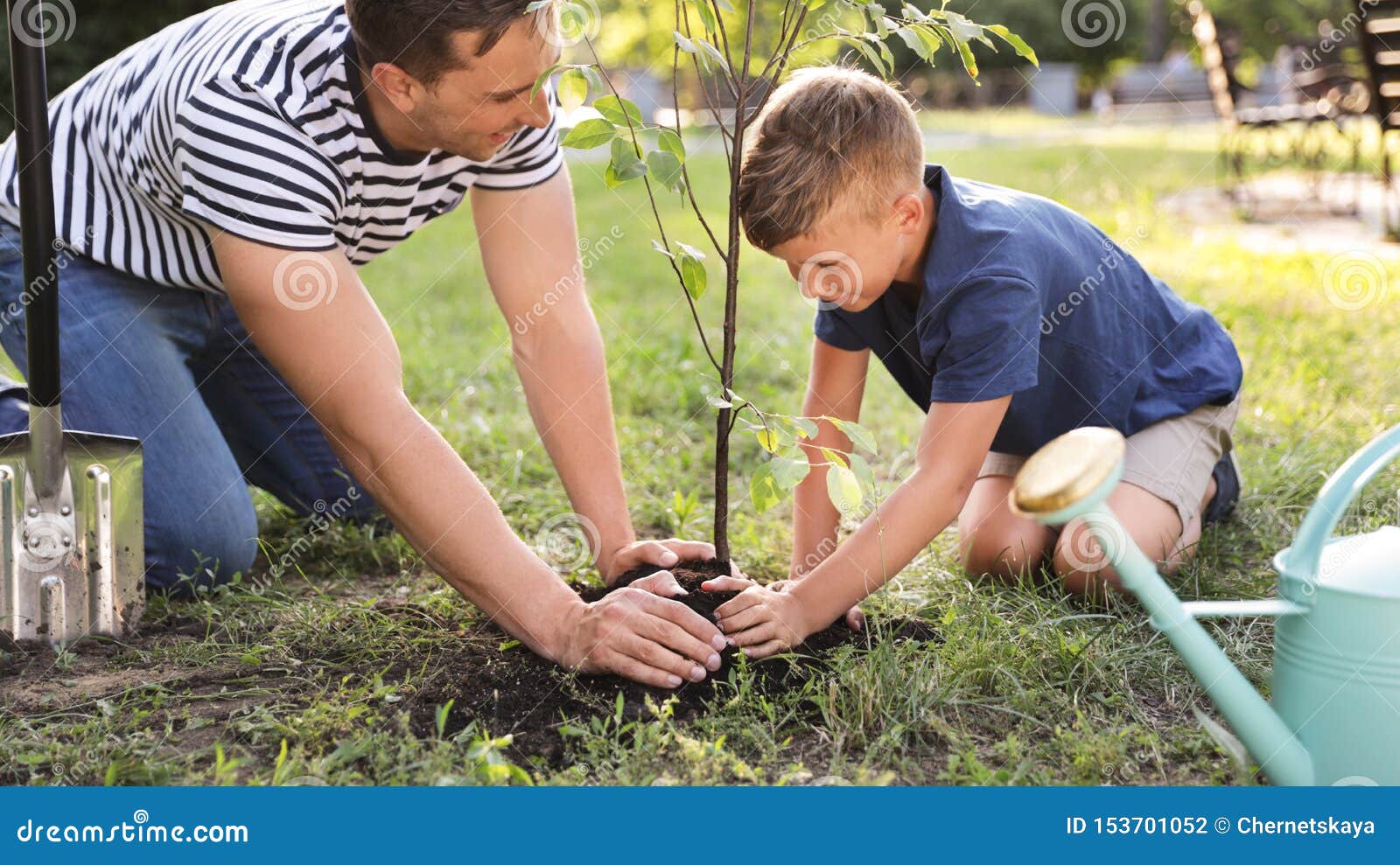 Dad and Son Planting Tree in Park Stock Photo - Image of male ...