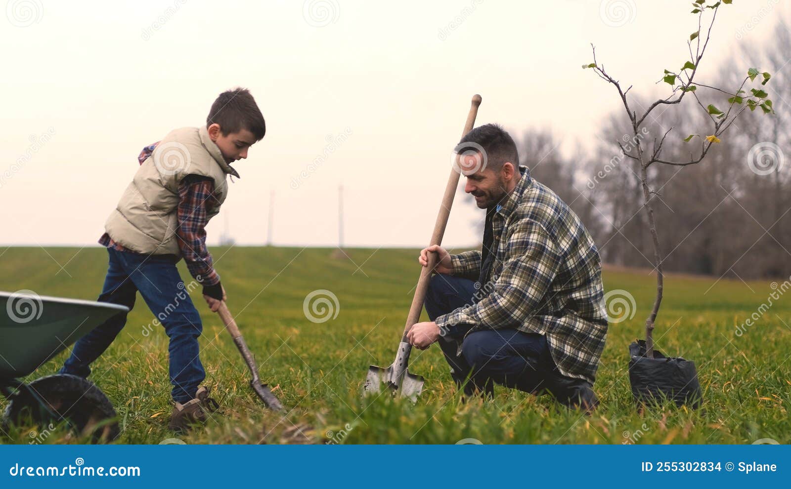 The Dad and Son Planting a Tree Together. Stock Photo - Image of ...
