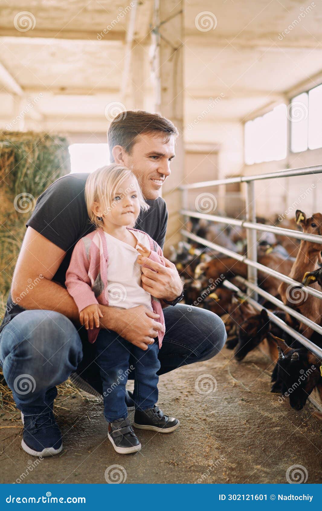 Dad Squatted Hugging a Little Girl in Front of a Corral with Goat Kids ... Dad Squatted Hugging a Little Girl in Front of a Corral with Goat Kids ...