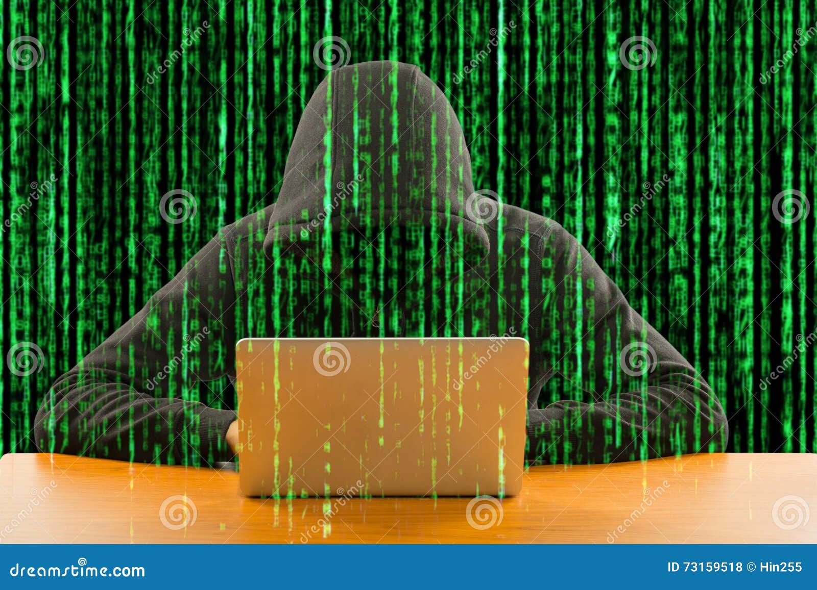 Dados Do Olhar E Da Busca Do Programador Dos Hacker Foto de Stock ...