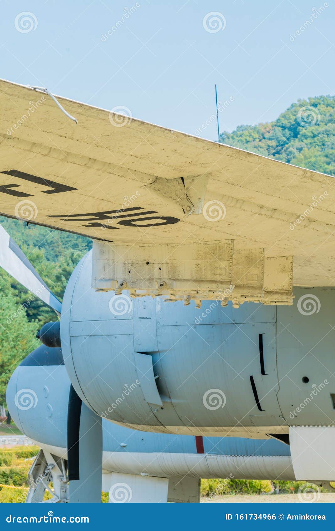 Empty Under Wing Hard Points Editorial Photo - Image of displayed, boot ...