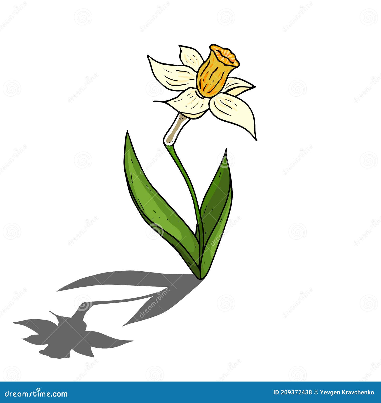 Daffodil Flower Icon. Vector of Spring Daffodil on Holiday Stock Vector ...