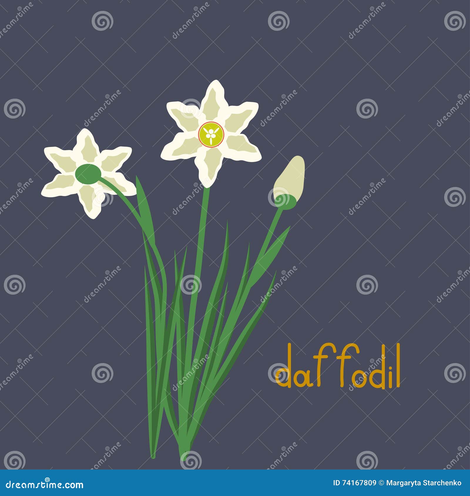 Simple Daffodil Coloring Page For Kids Royalty-Free Stock Image ...