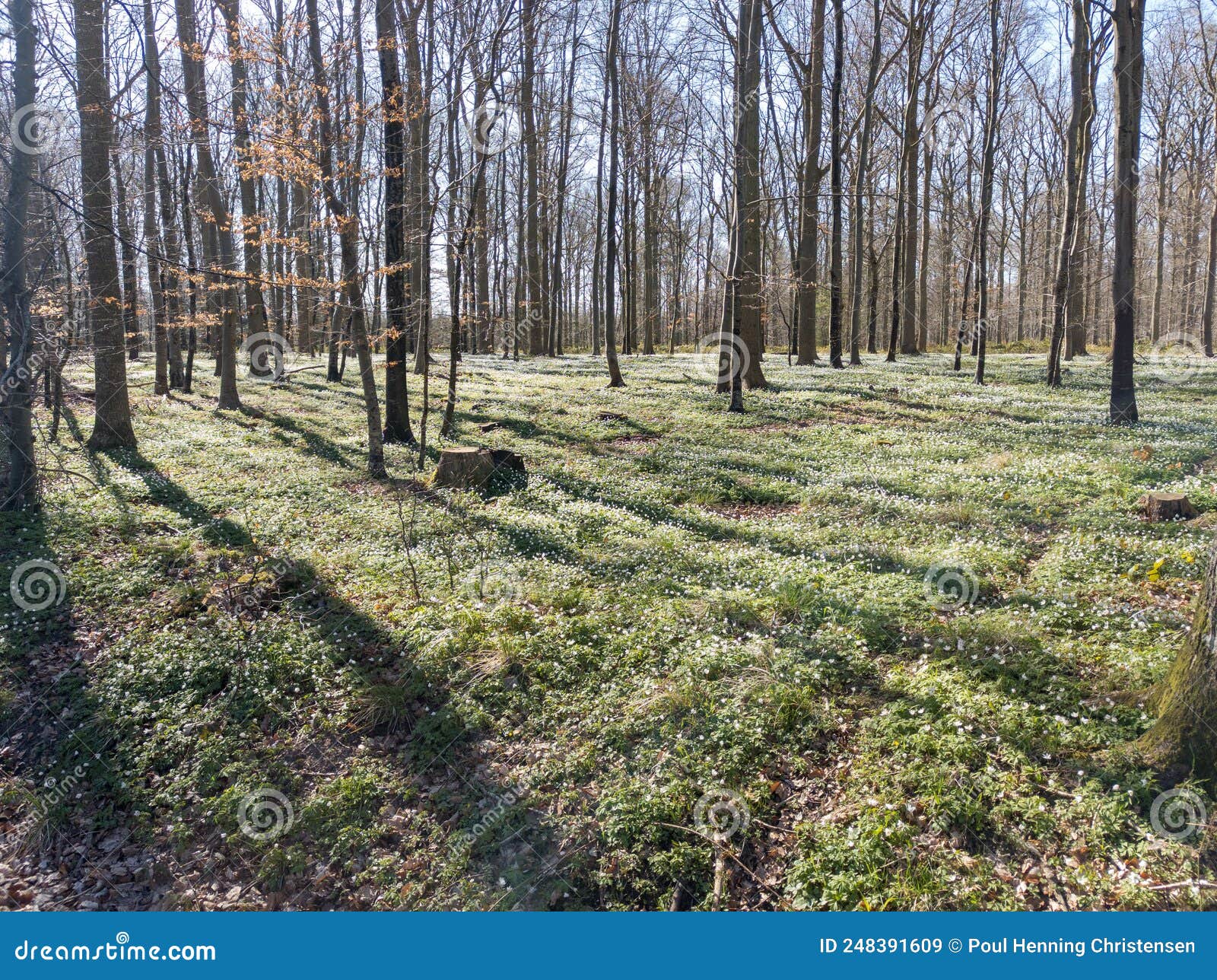 Oplus Camera Stock Photos - Free & Royalty-Free Stock Photos from ...