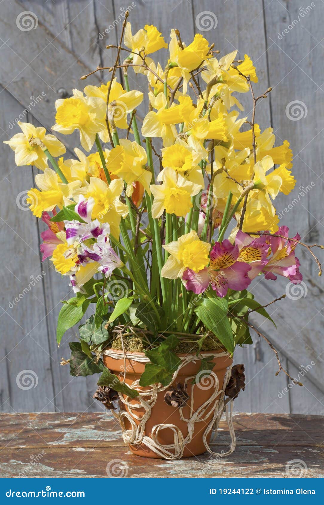 Daffodils in a ceramic pot stock photo. Image of flowers - 19244122