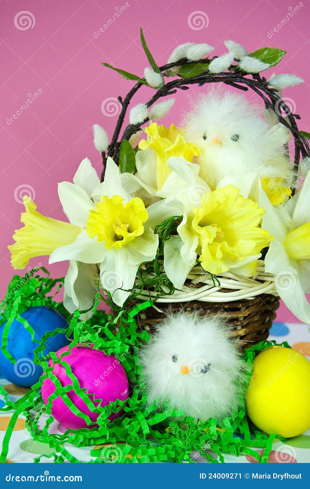 Daffodils and Chicks stock image. Image of unique, nature - 24009271