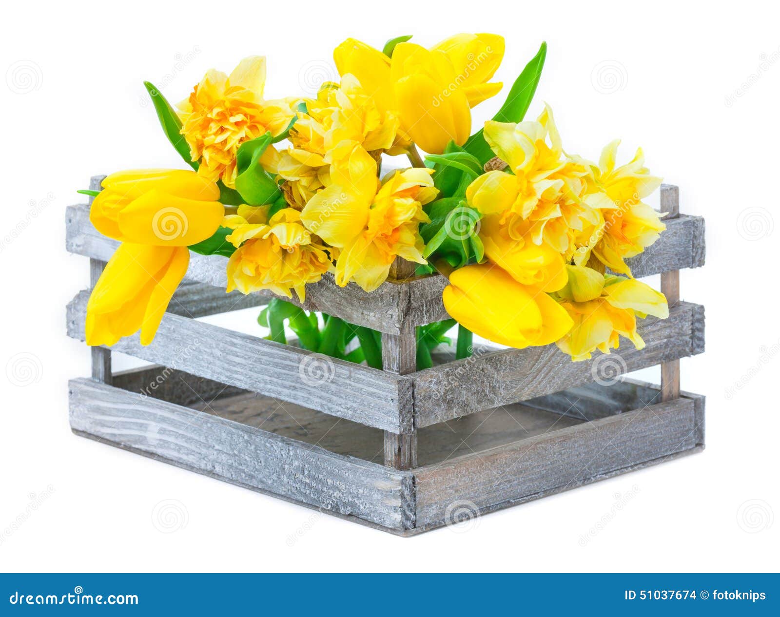 Daffodils, Tulips in Wooden Box Stock Photo - Image of wood, wooden ...