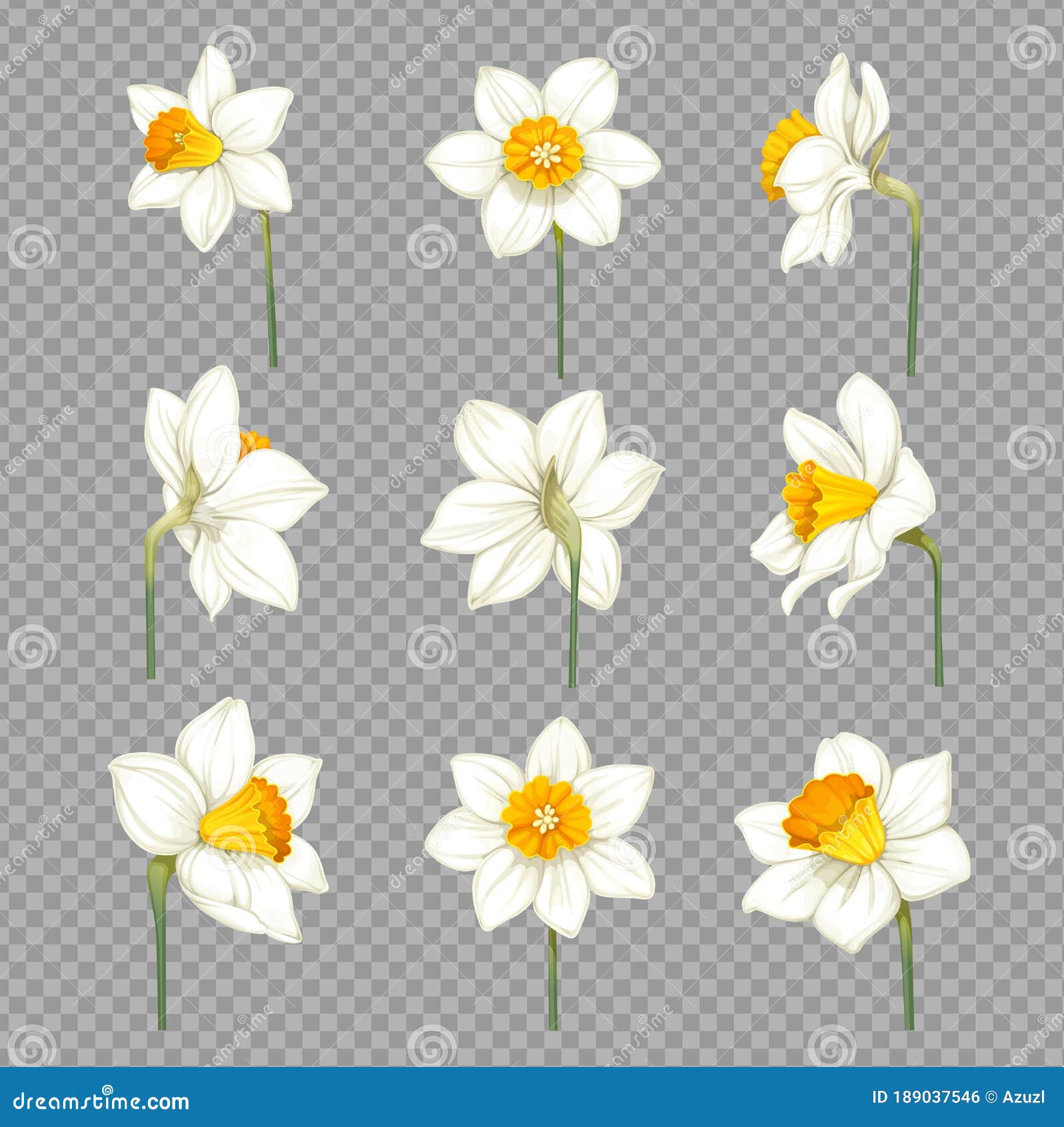 Separate Flowers Stock Illustrations – 1,178 Separate Flowers Stock ...