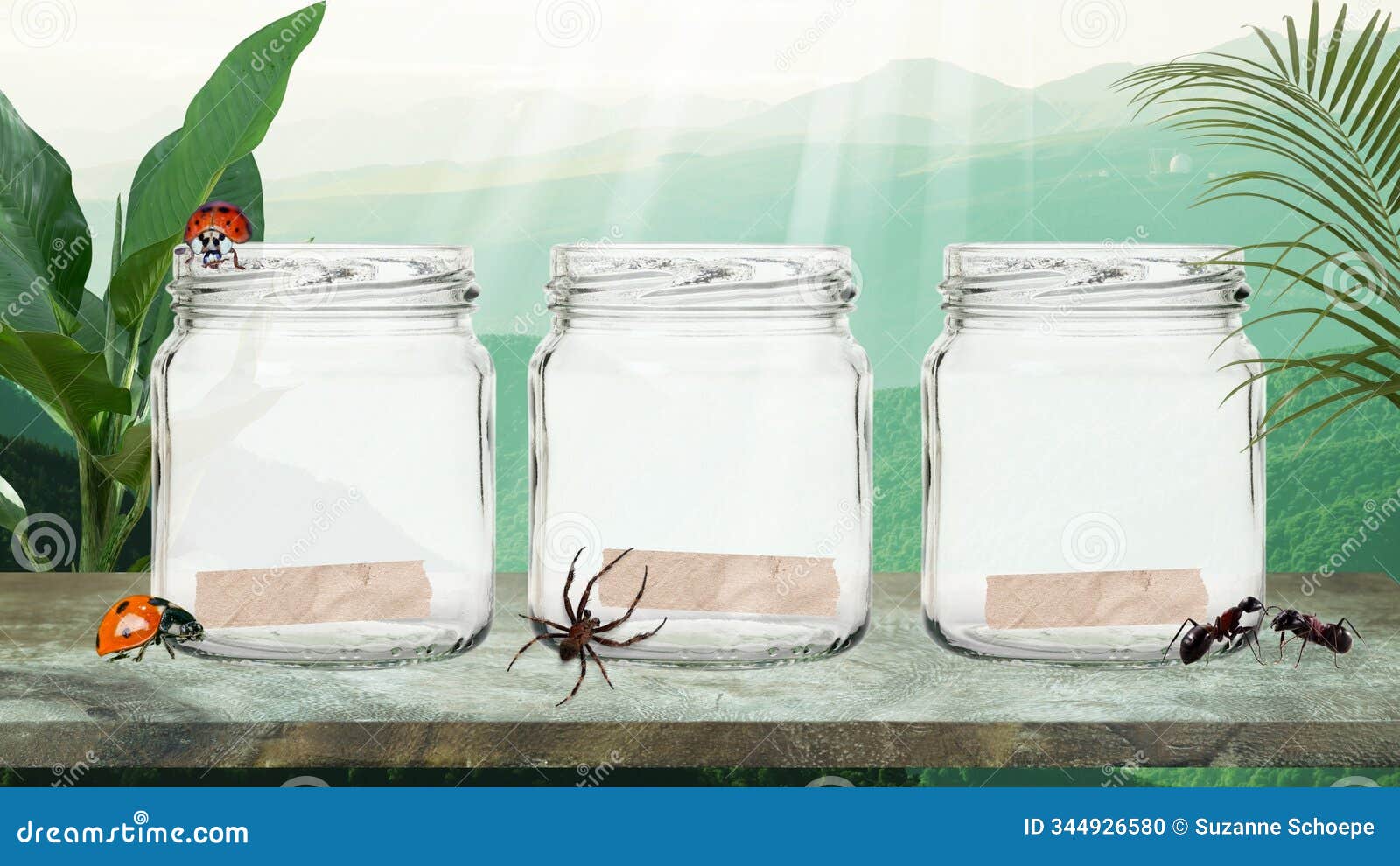 Desktop Wallpaper Icon Organizer Bugs - Blank Labels Stock Photography ...