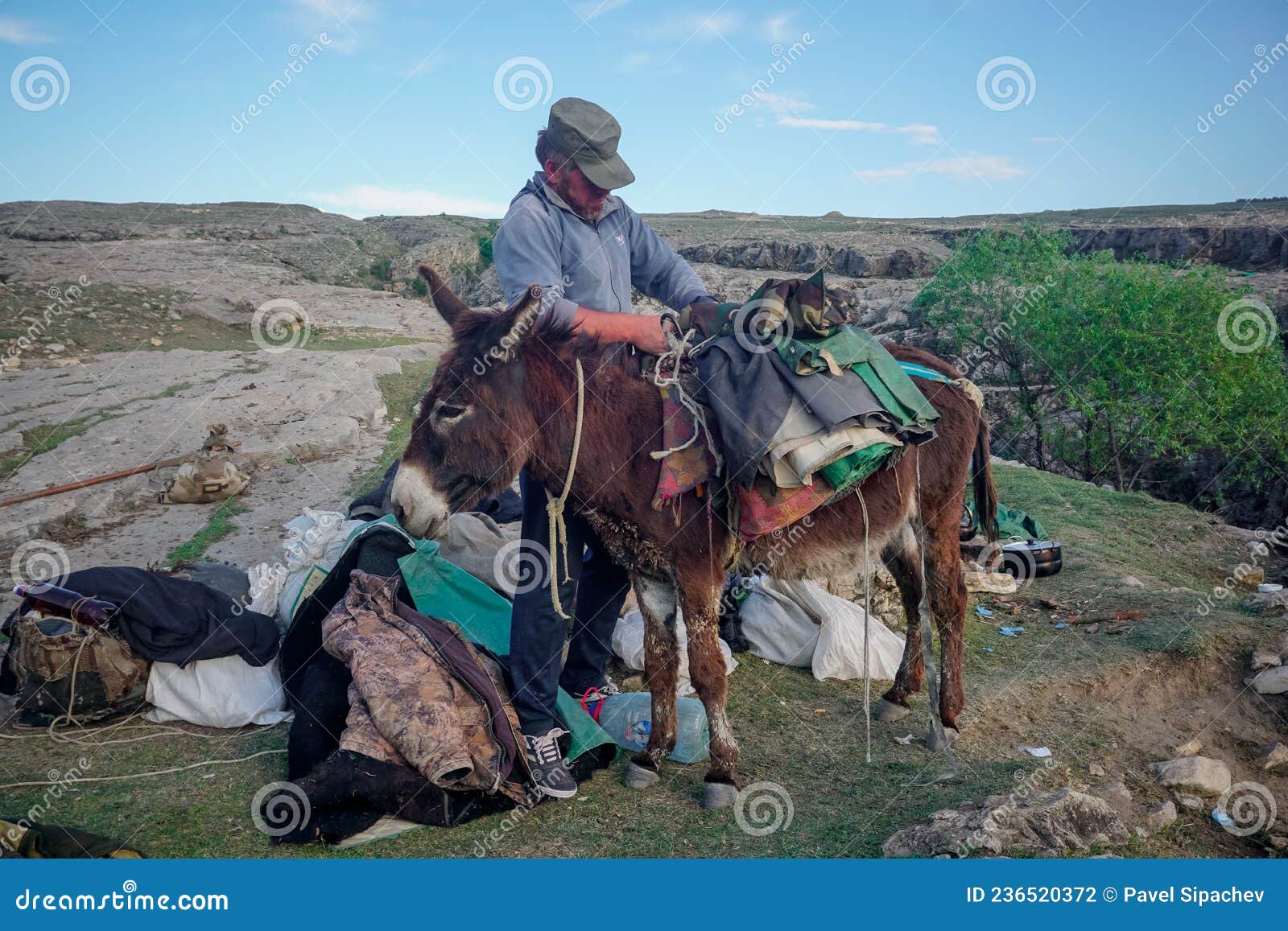 Dagestan, Russia - June 2, 2020: Shepherd and Donkey with Provisions ...