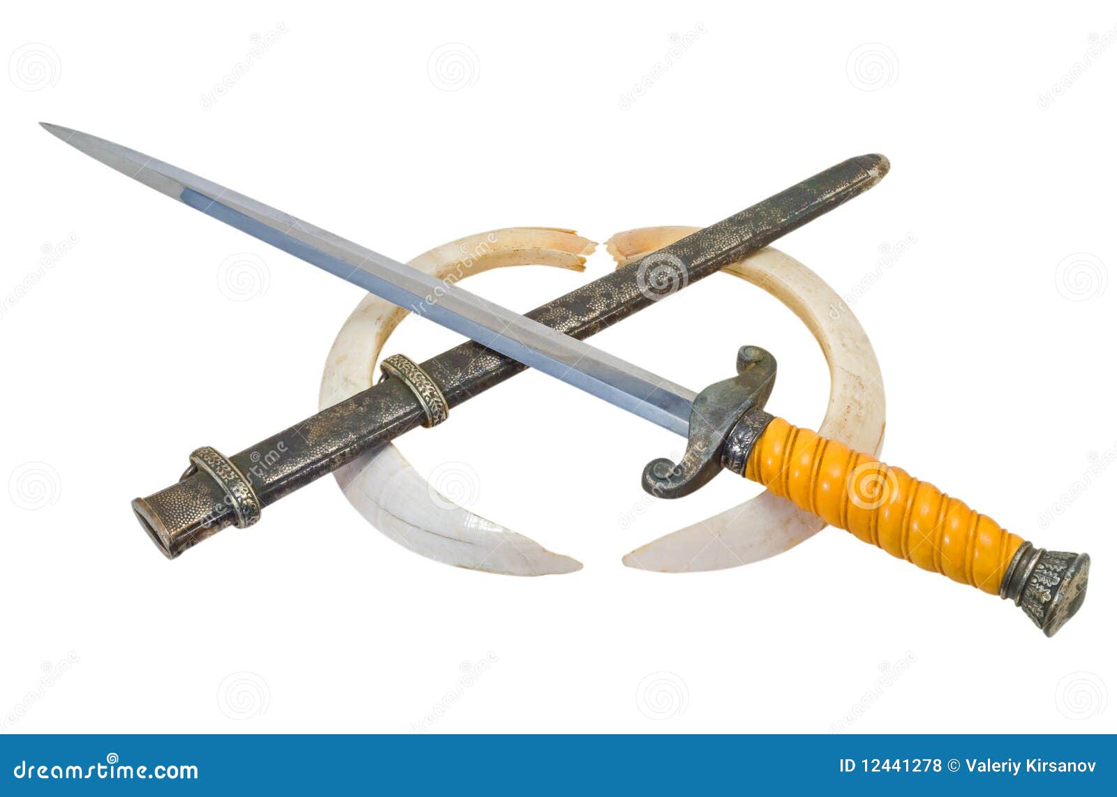 Dagger and fangs 1 stock photo. Image of heraldic, blade - 12441278
