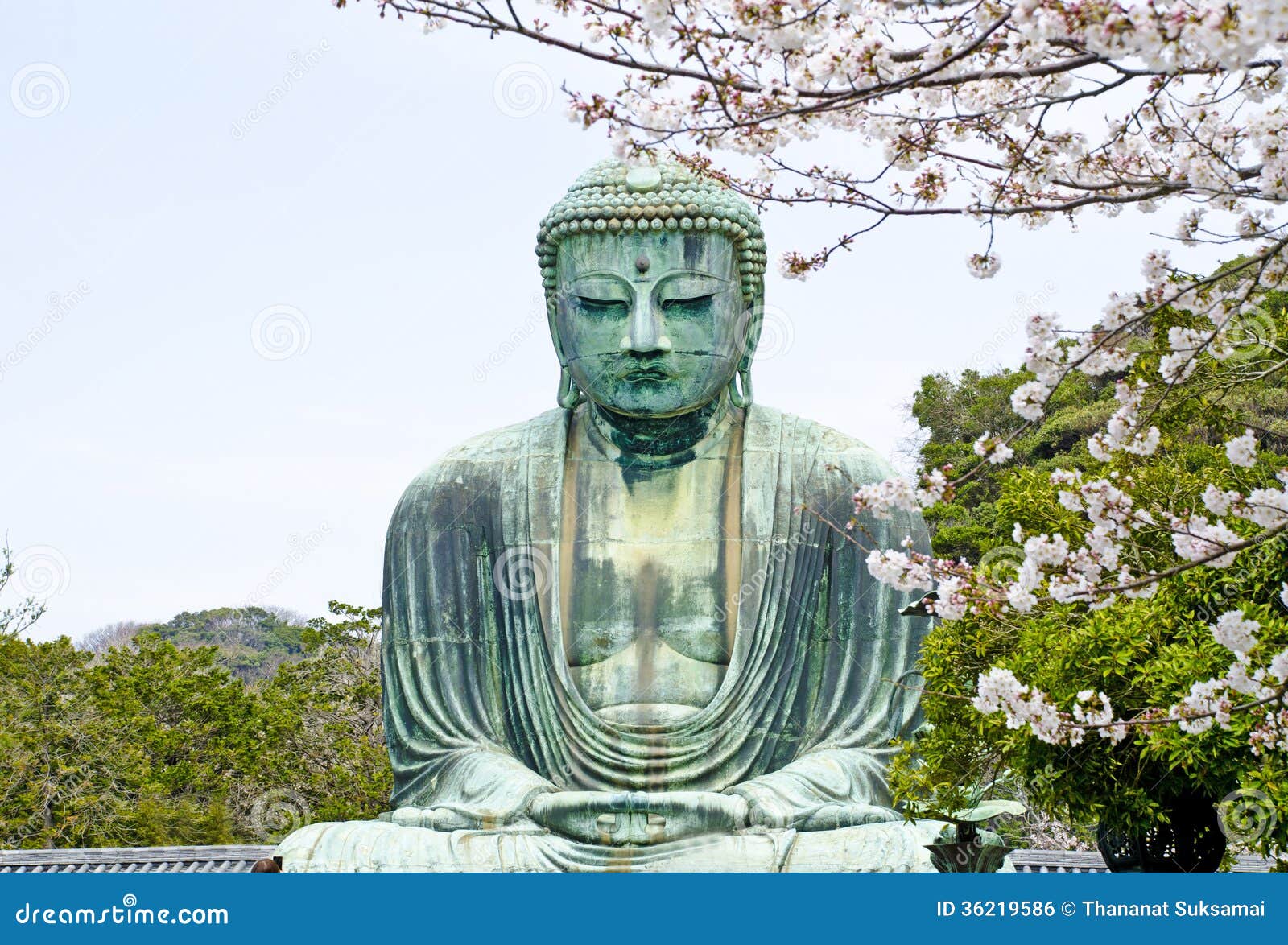 Daibutsu Japão foto de stock. Imagem de oriental, patrimônio - 36219586
