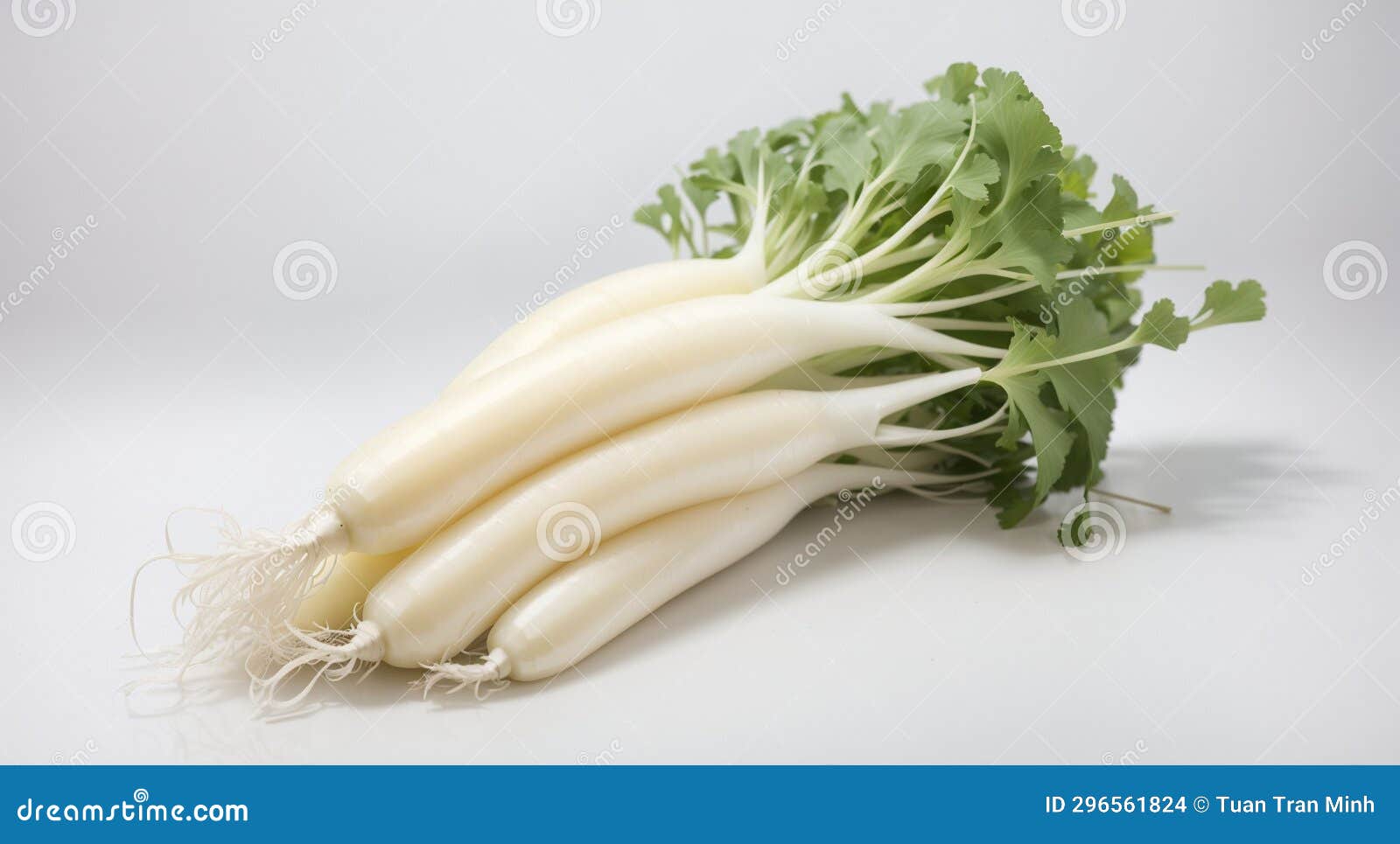 Daikon stock photo. Image of breakfast, food, salad - 296561824