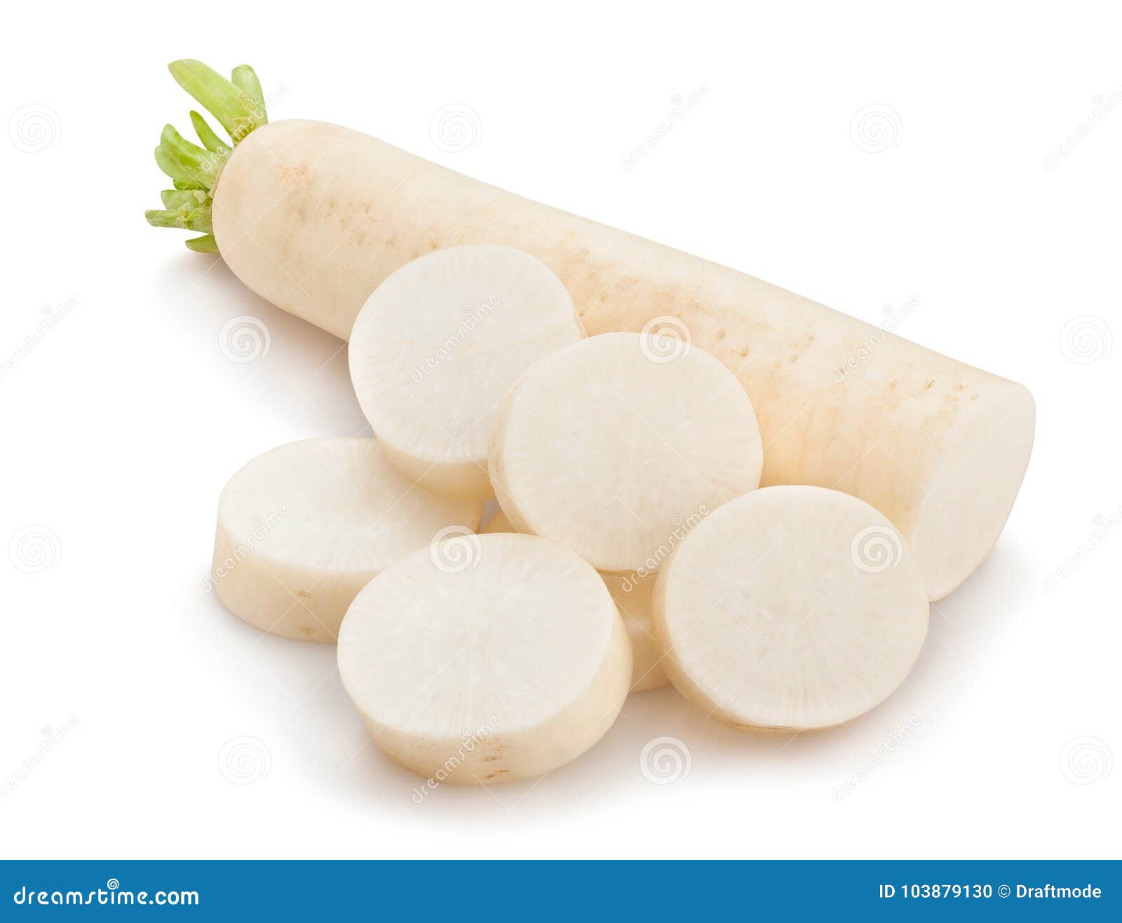 Daikon radish stock photo. Image of closeup, chinese - 103879130