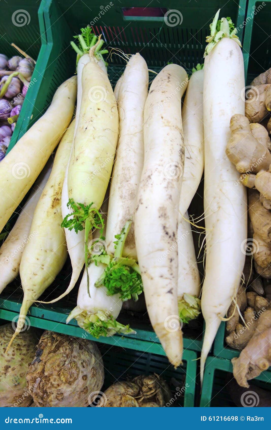 Daikon on the store shelf stock photo. Image of radish - 61216698