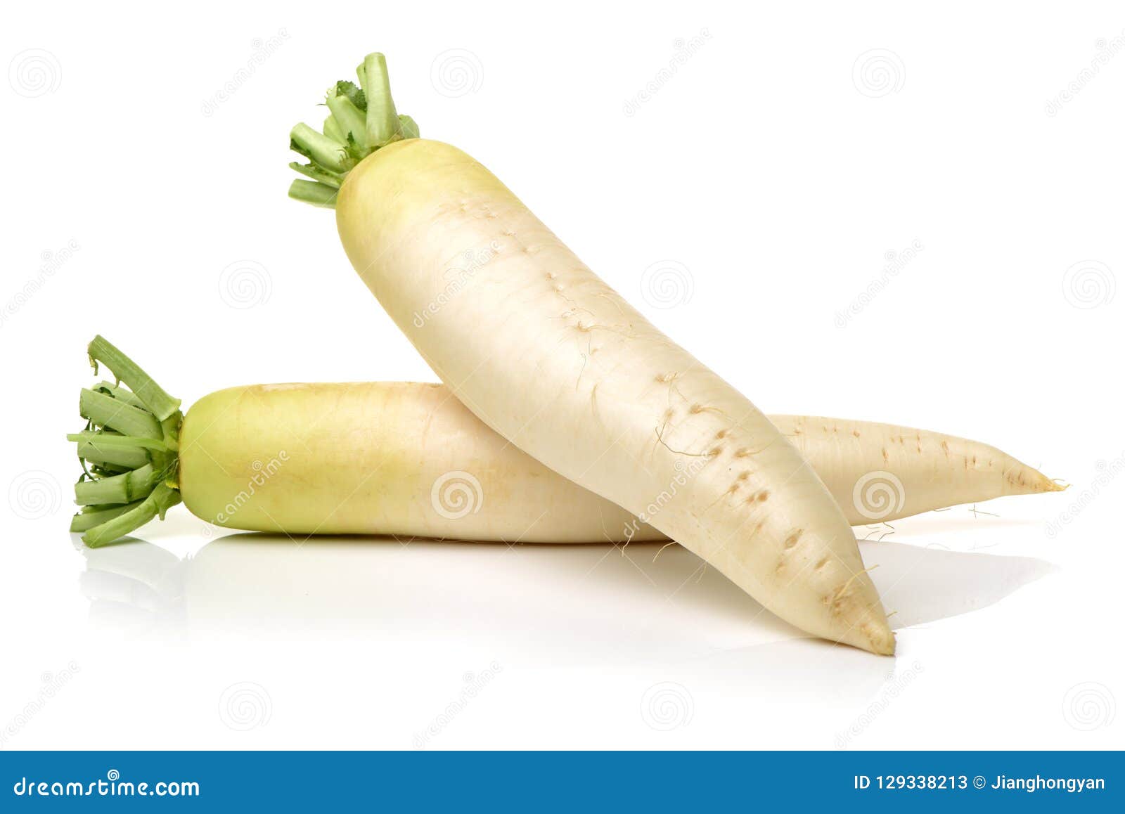 Daikon White Radish stock image. Image of salad, harvest - 129338213