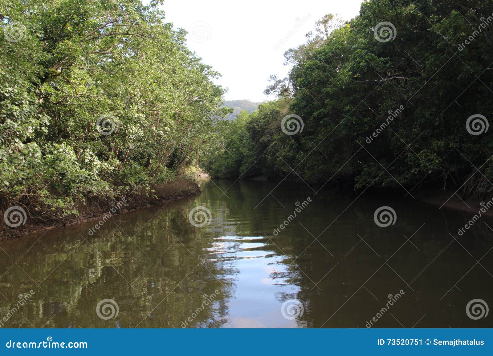 Daintree River stock image. Image of reflection, wave - 73520751