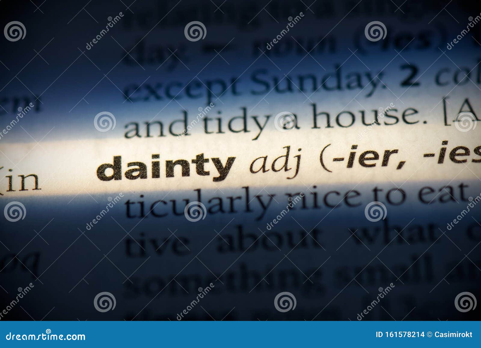 Dainty stock photo. Image of vocabulary, detail, dictionary - 161578214