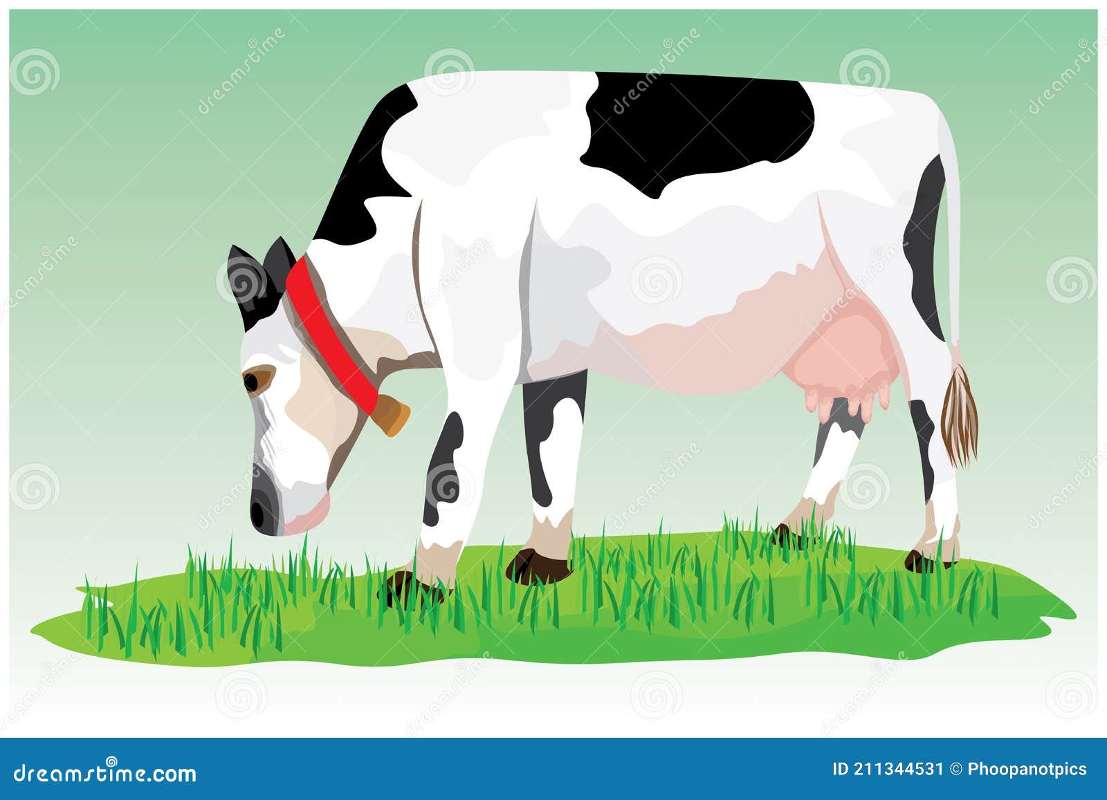 Dairy caw with grass stock vector. Illustration of field - 211344531