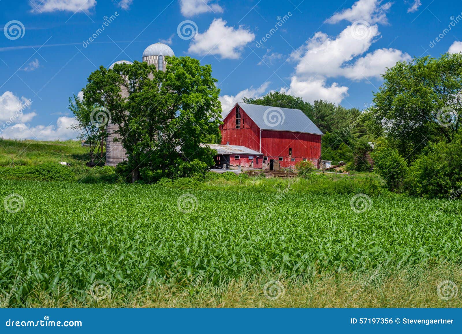 Dairy and Corn Farm, Eastern Minnesota Stock Photo - Image of minnesota ...