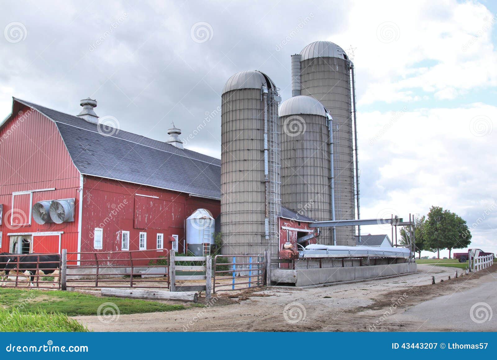 Dairy Farm with Three Silos Stock Image - Image of summertime ...