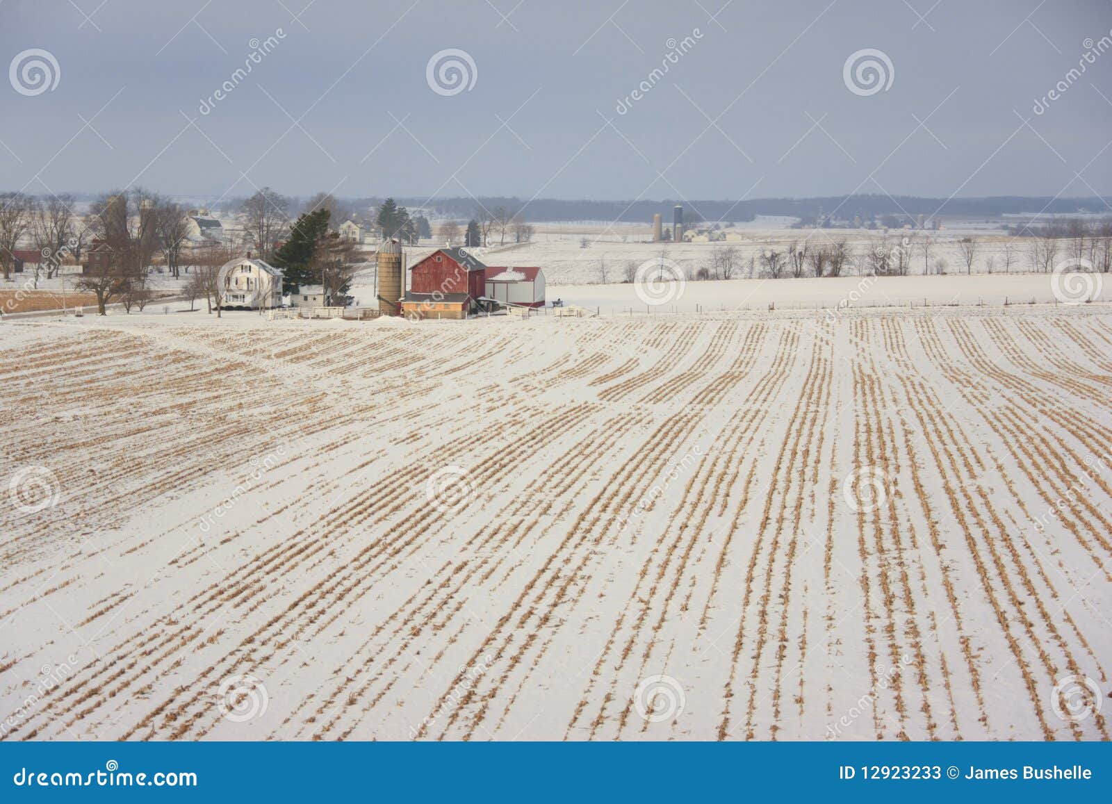 Dairy farm in winter stock image. Image of wisconsin - 12923233
